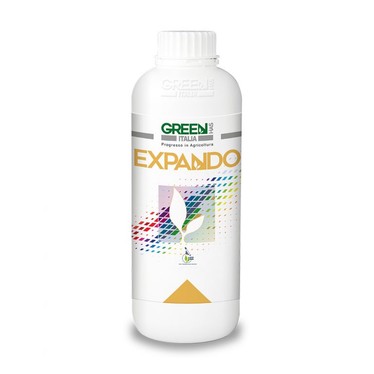 Expando – SeedPlus Kft.